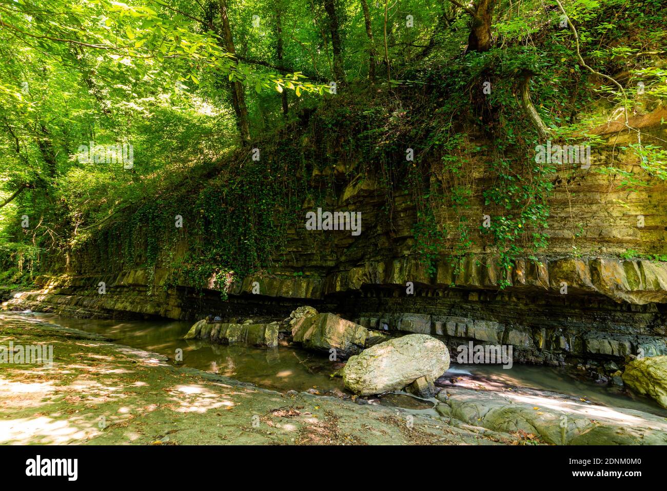 Textures of various stone layers in mountain river Stock Photo - Alamy