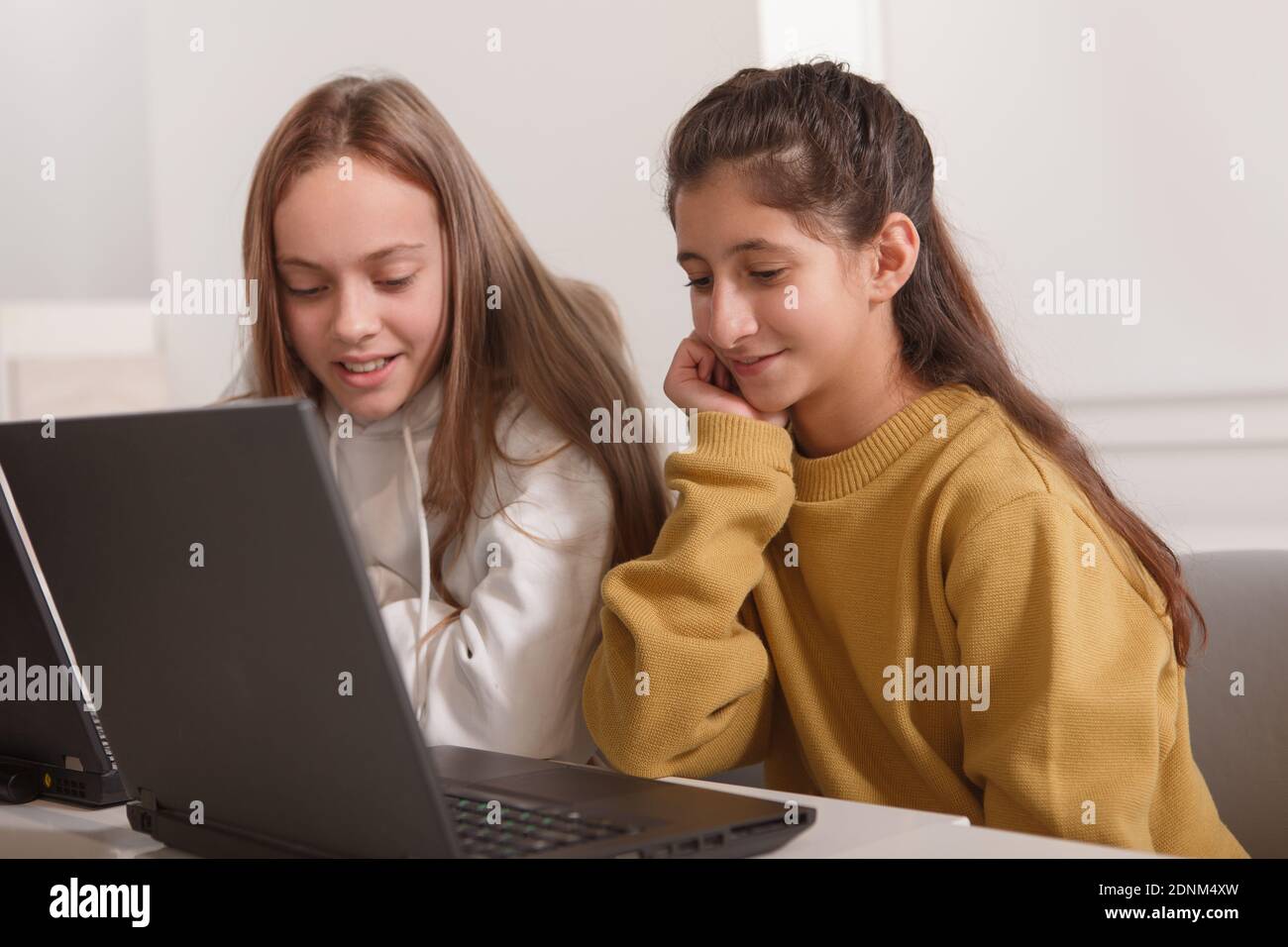 Two charming teenage girls working on a school project together on a ...