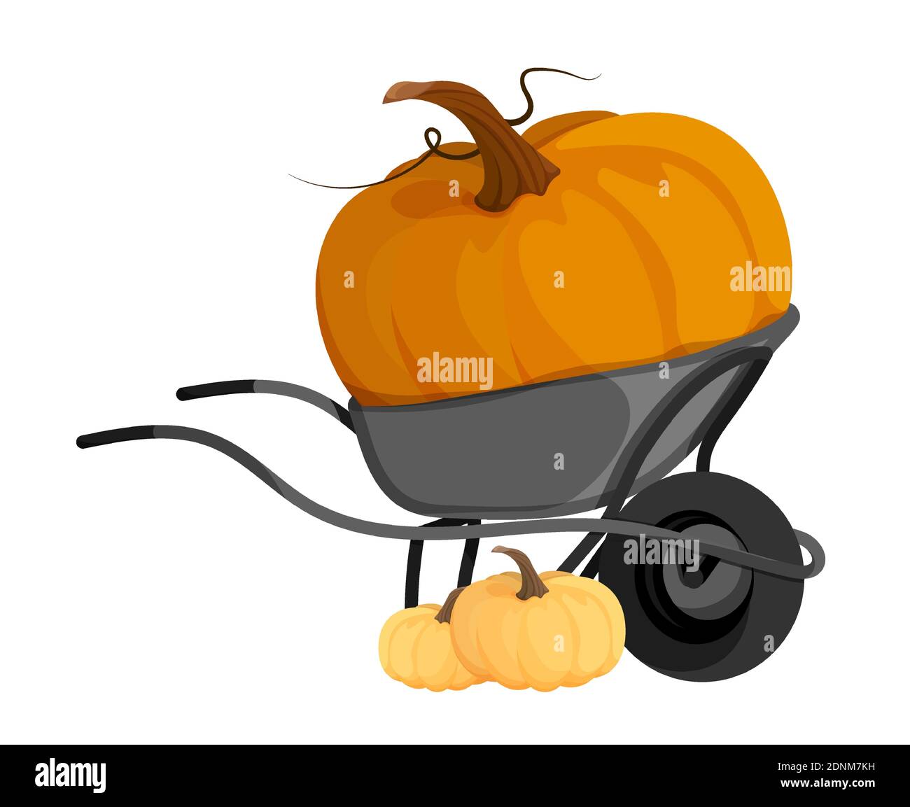 big pumpkin fruit in garden wheelbarrow. Autumn harvest. Autumn ...