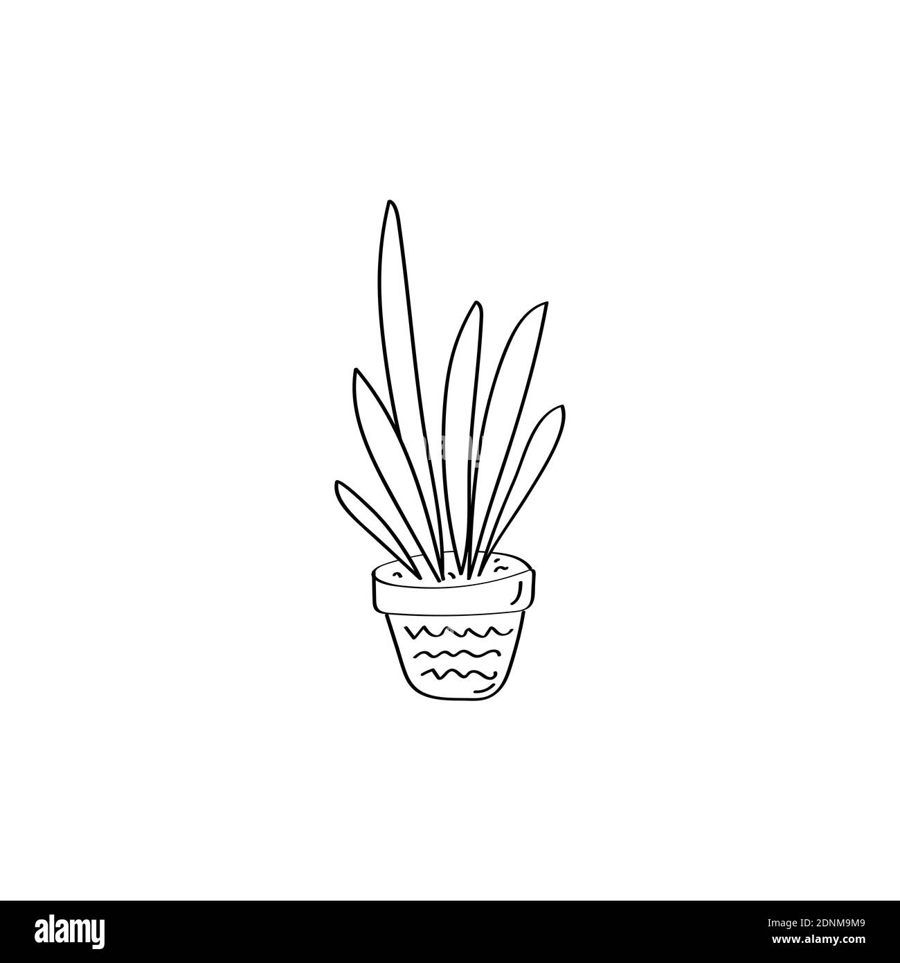 Sansevieria sign. House plant. Flowers in pot. Hand drawn vector doodle ...