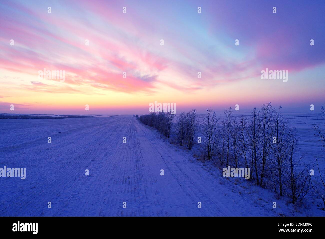 Hulunbuir forest hi-res stock photography and images - Alamy