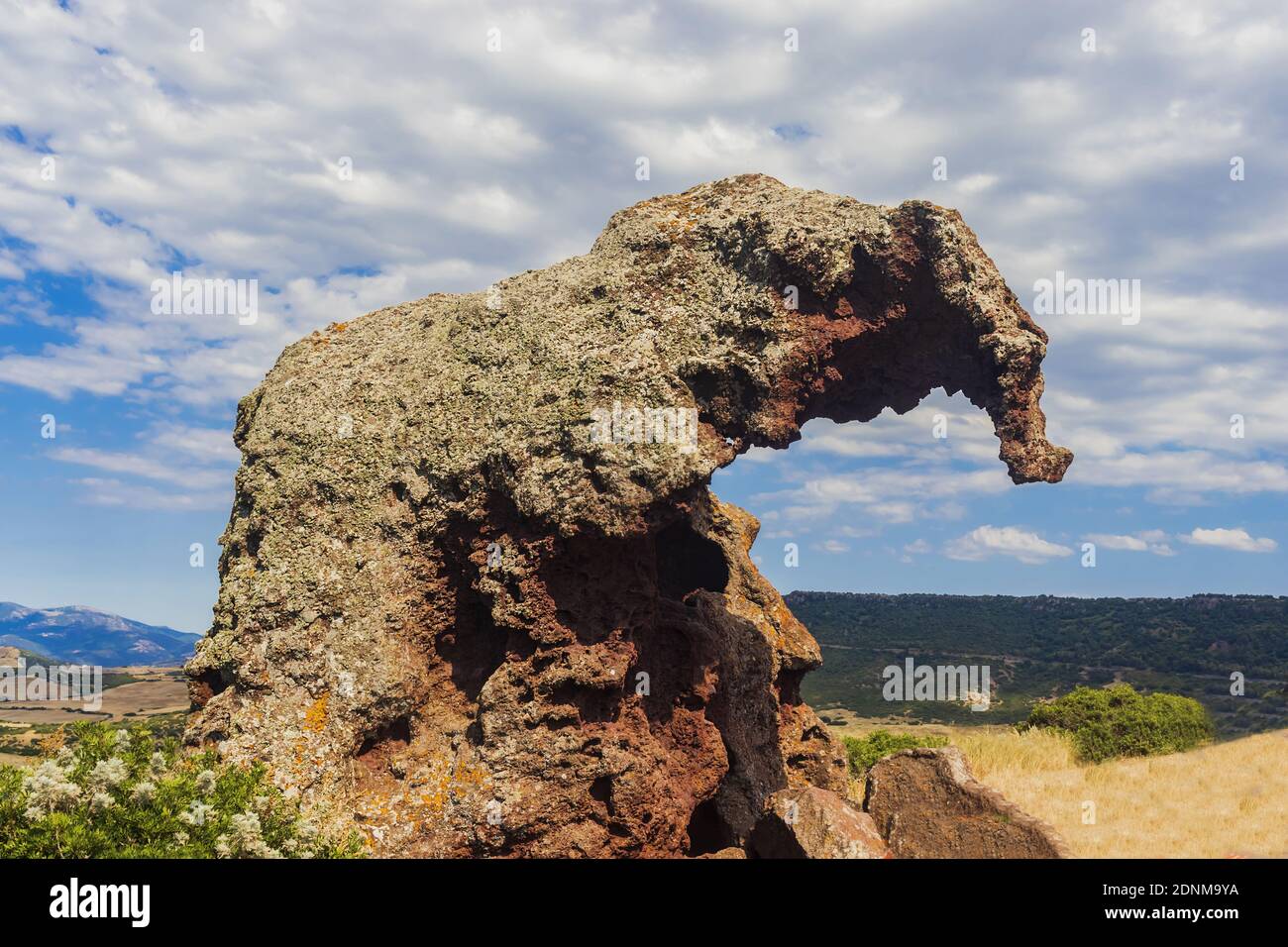 The Elephant Rock, an ancient sacred place of 400,000 years ago Stock ...