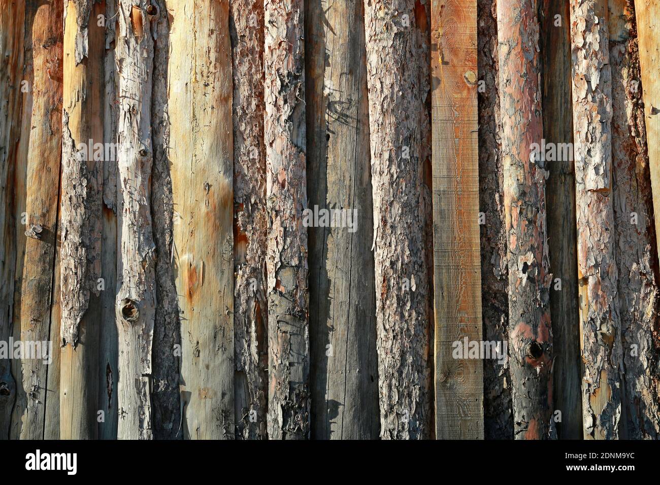 Rough pine slab wall Stock Photo - Alamy