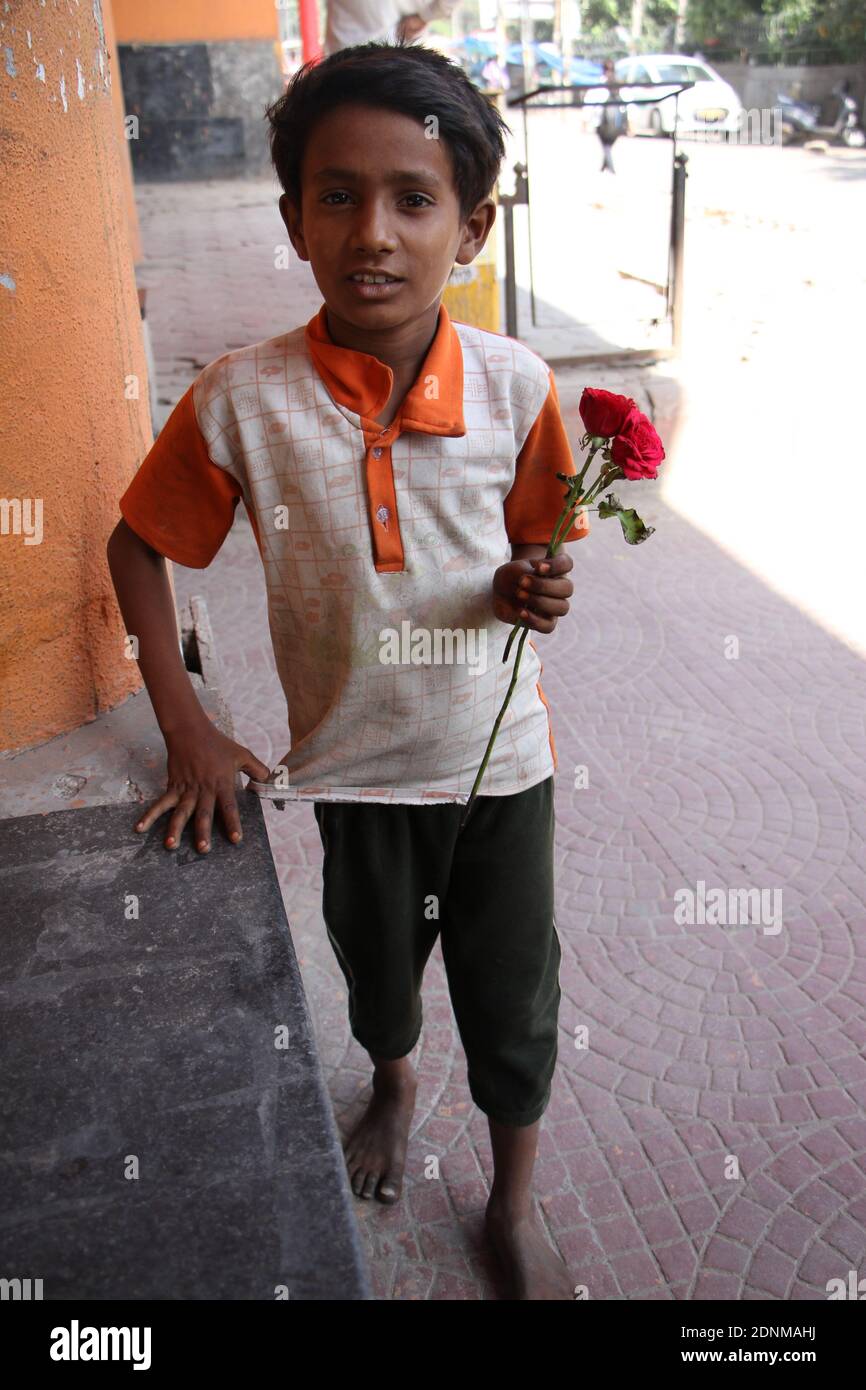 Boy With Roses High Resolution Stock Photography and Images - Alamy