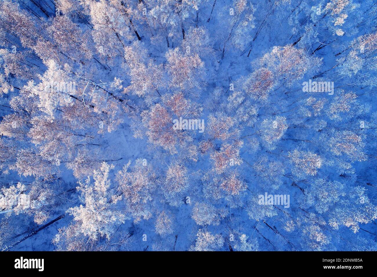 Lin rime hi-res stock photography and images - Alamy