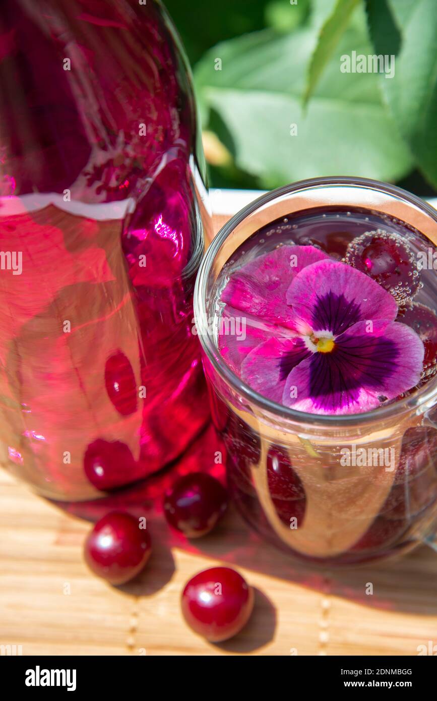 Summer lemonade with cherry berries and violet flower in a glass in the ...