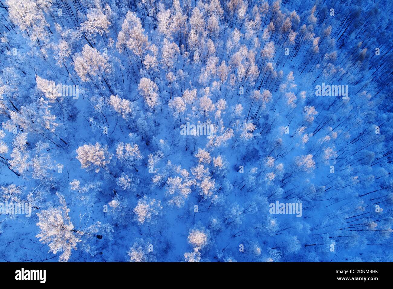Lin rime aerial greater hinggan mountains snow Stock Photo - Alamy