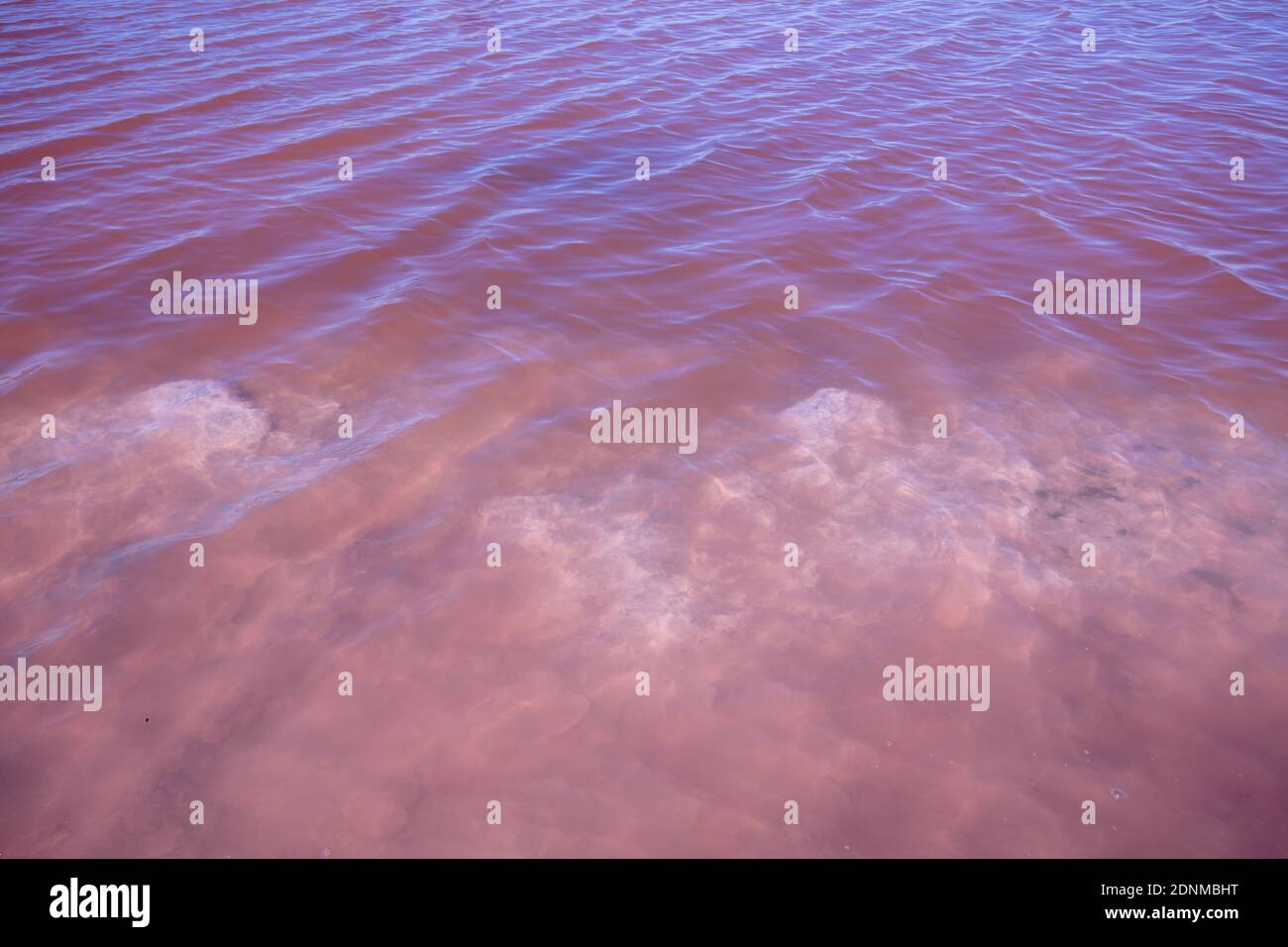 Beautiful pink salty lake hi-res stock photography and images - Alamy