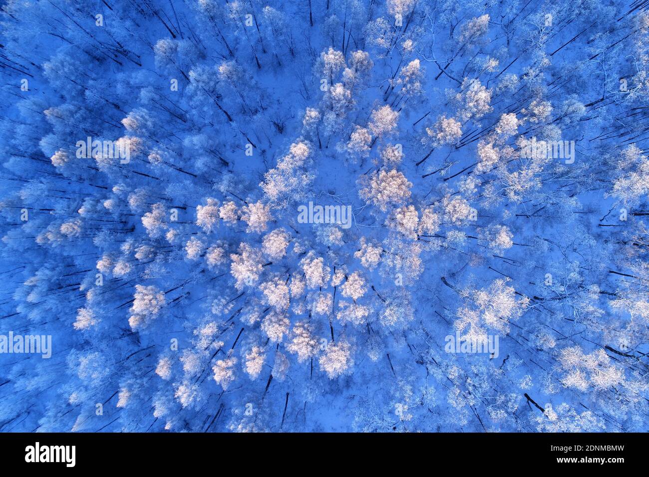 Aerial greater hinggan mountains snow Lin rime morning light Stock ...