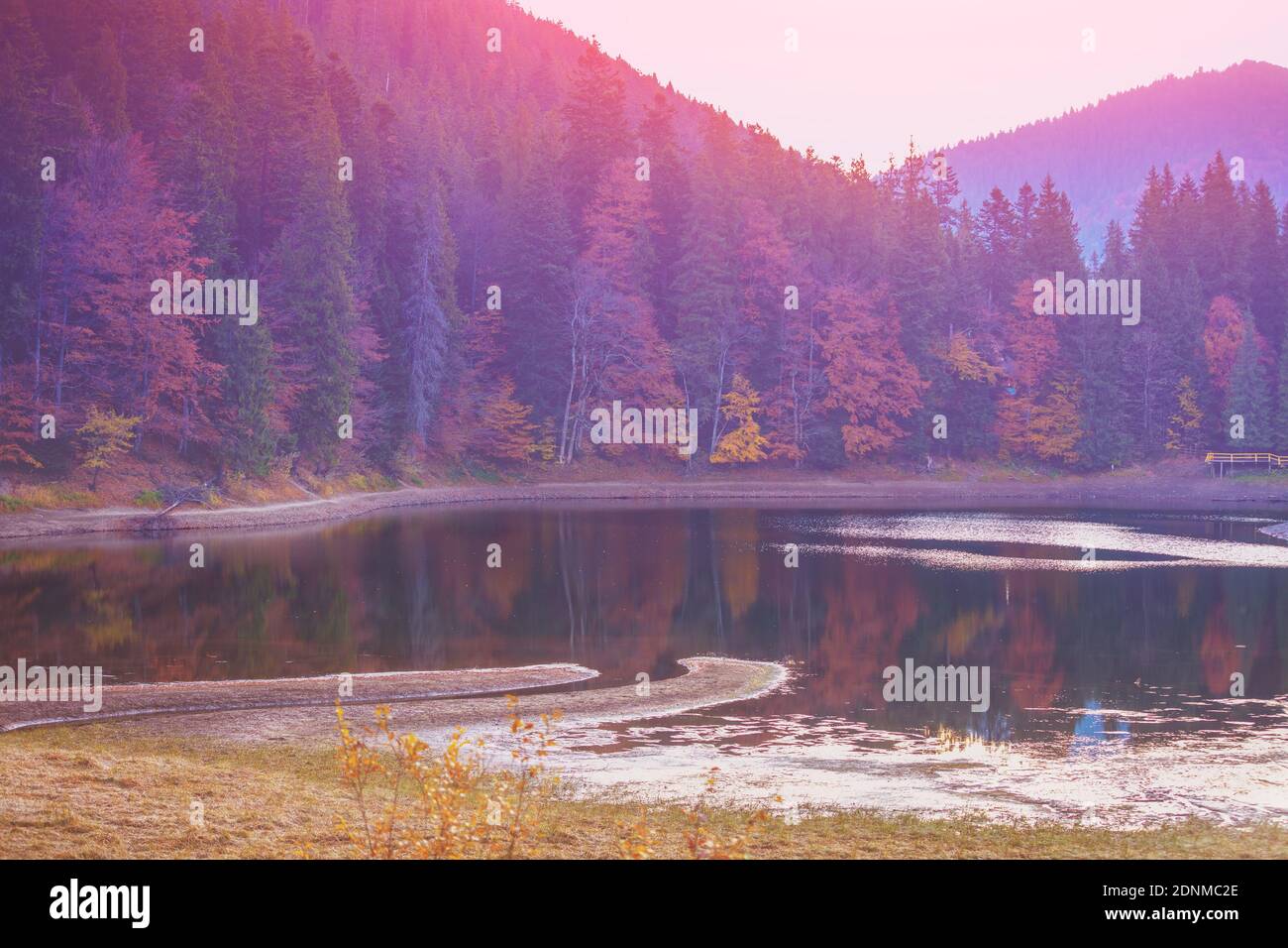 Synevyr lake hi-res stock photography and images - Alamy