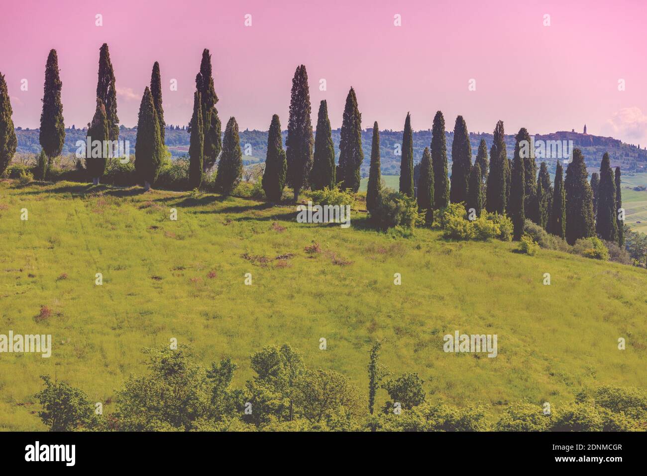 Hill of row hi-res stock photography and images - Alamy