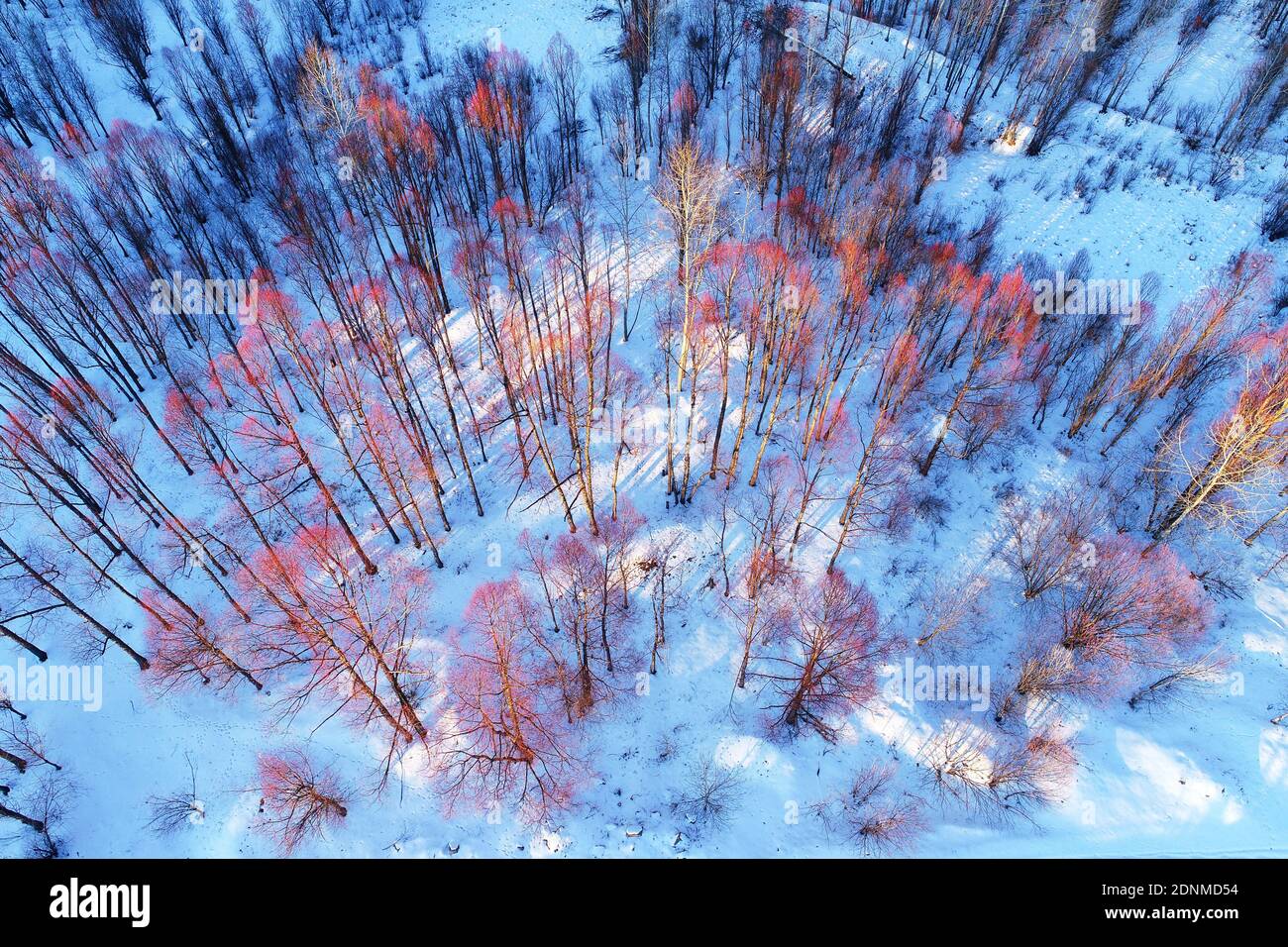 Aerial greater hinggan mountains snow Philippine Stock Photo - Alamy