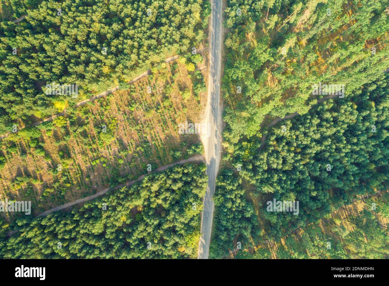 Aerial view narrow road trees hi-res stock photography and images - Alamy