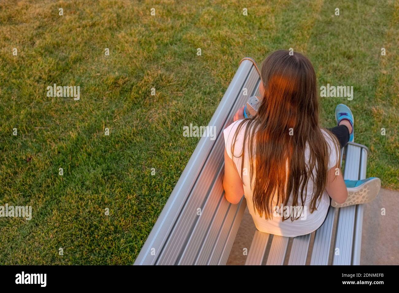Darwin bench hi-res stock photography and images - Alamy