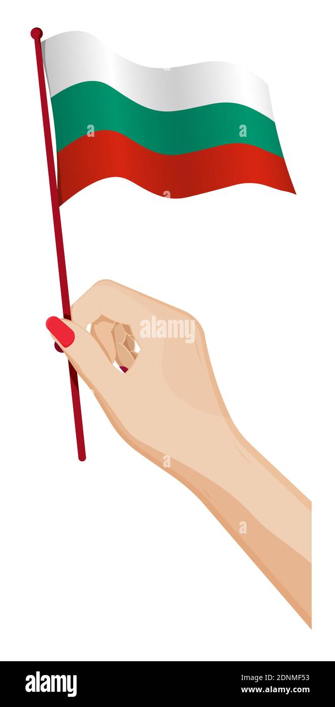 Female hand gently holds small Bulgaria flag. Holiday design element. Cartoon vector on white ...
