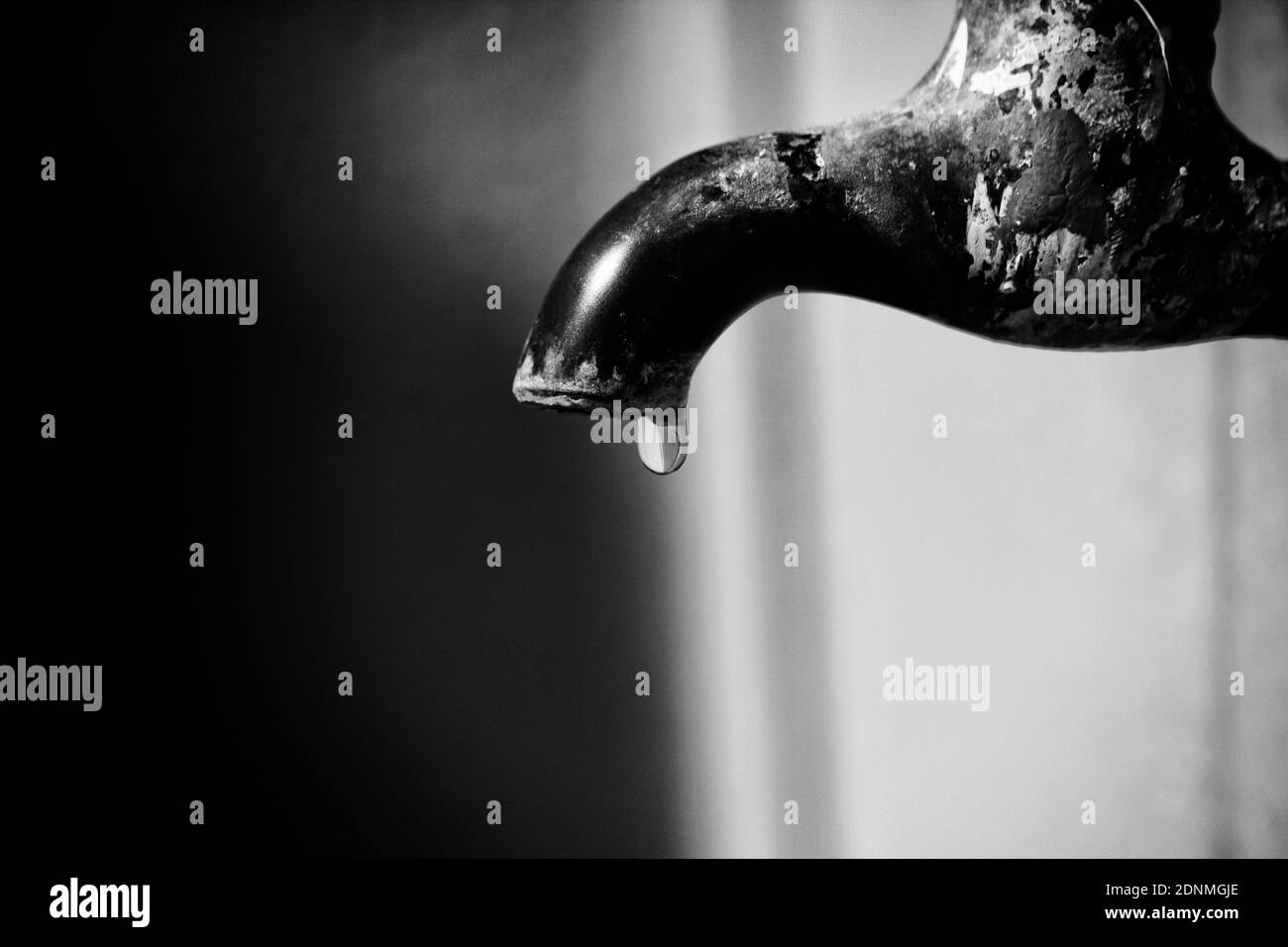Dripping wet Black and White Stock Photos & Images - Alamy