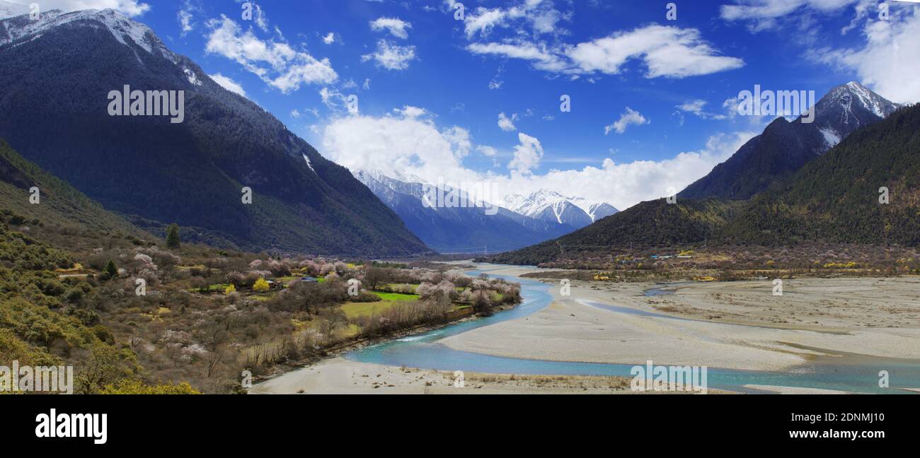 Bome tibet forest hi-res stock photography and images - Alamy