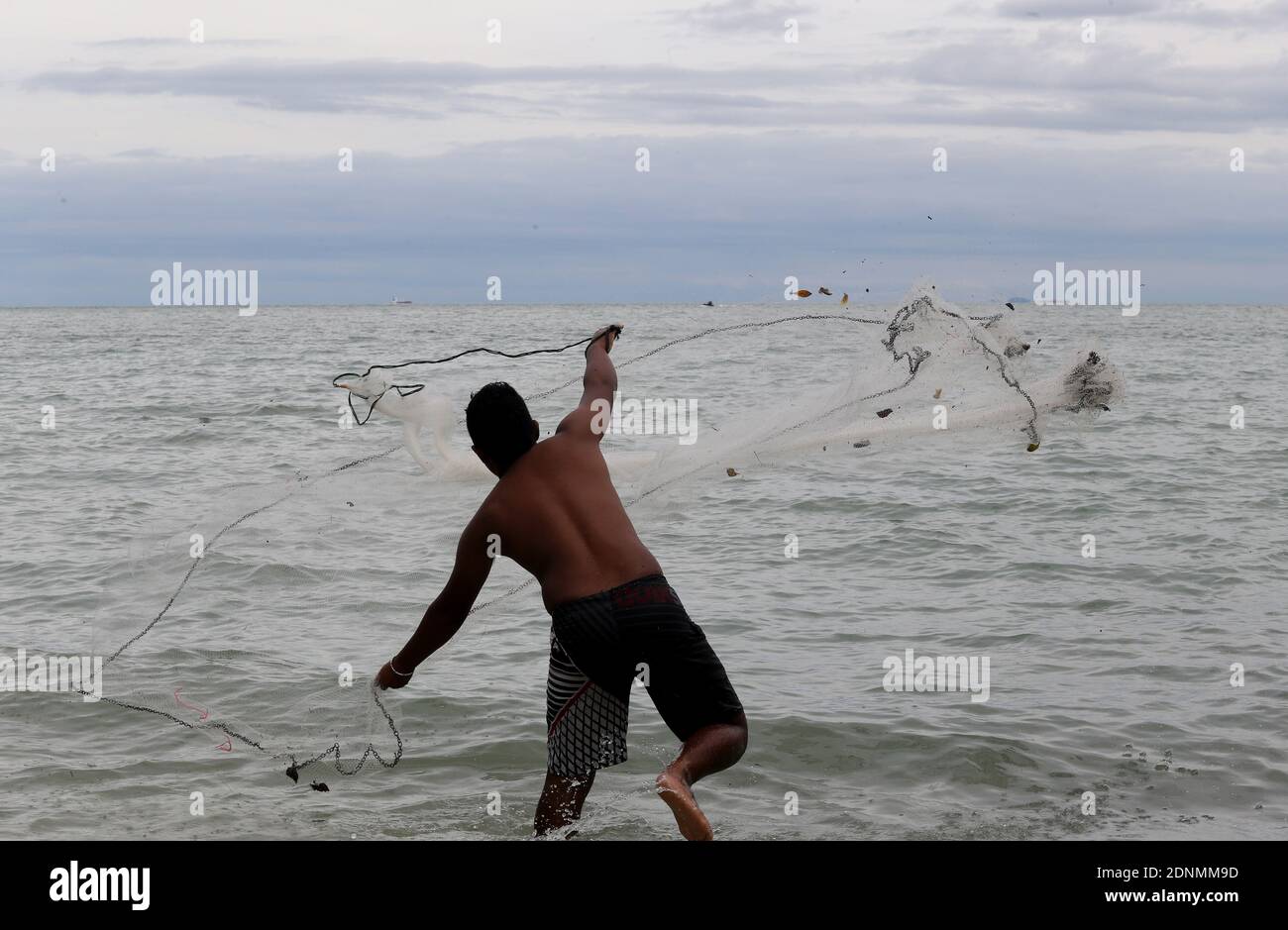 Fisher man throwing fishing net for catching fish for food Stock Photo ...