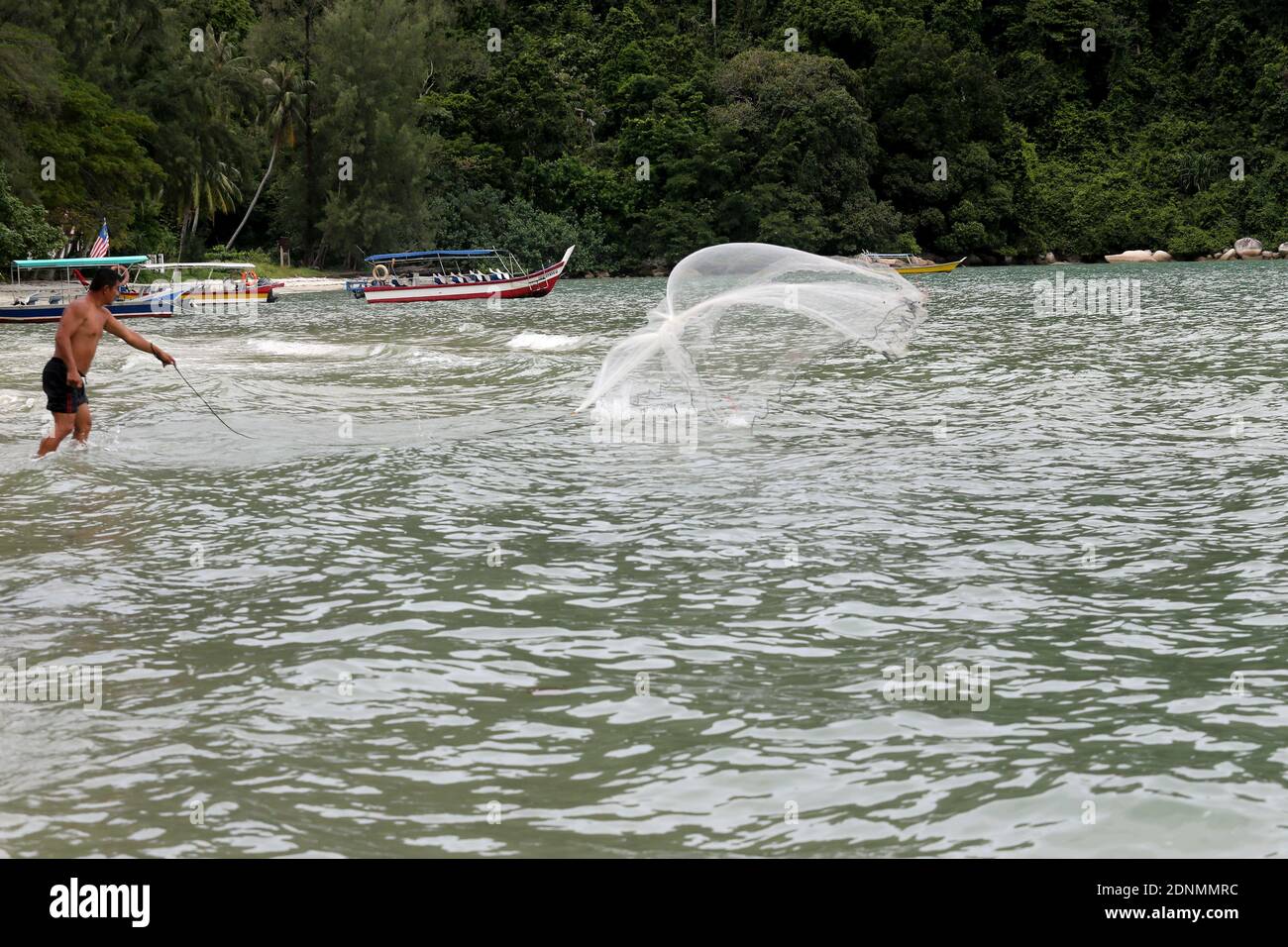 Fisher man throwing fishing net for catching fish for food Stock Photo ...
