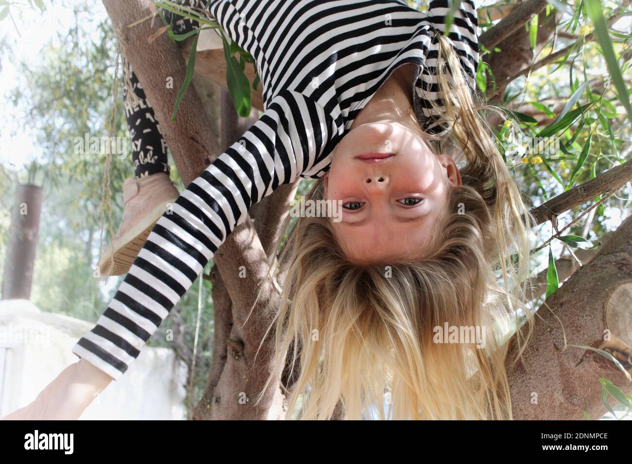 Child hanging upside down tree hi-res stock photography and images - Alamy