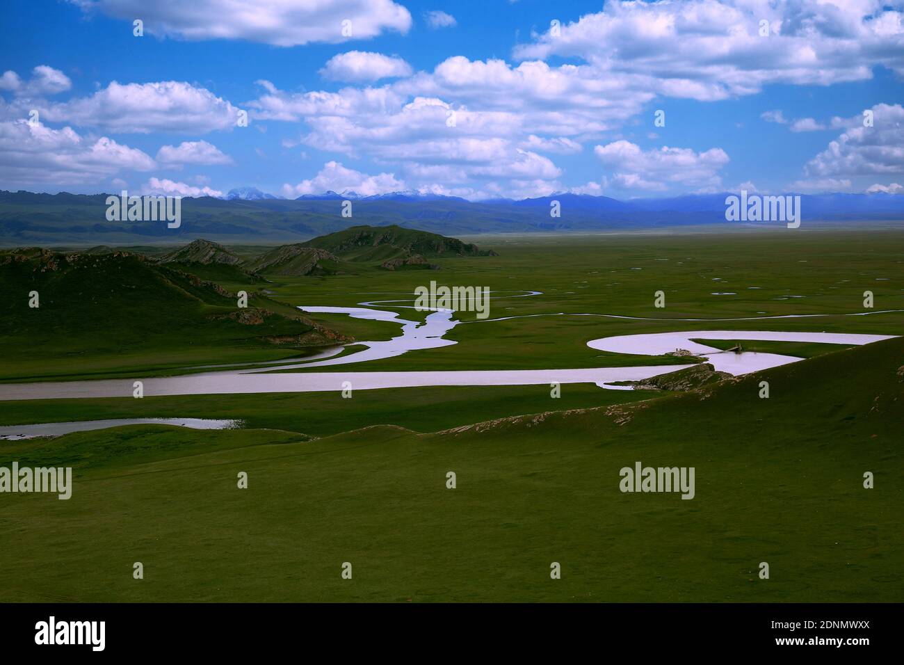 Beautiful summer landscape in xinjiang Stock Photo - Alamy