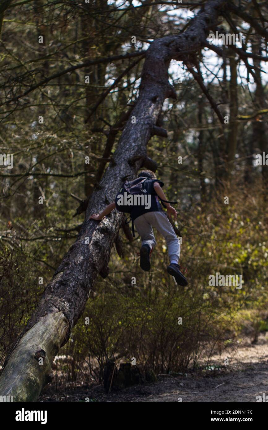 Boy jumping from tree hi-res stock photography and images - Alamy