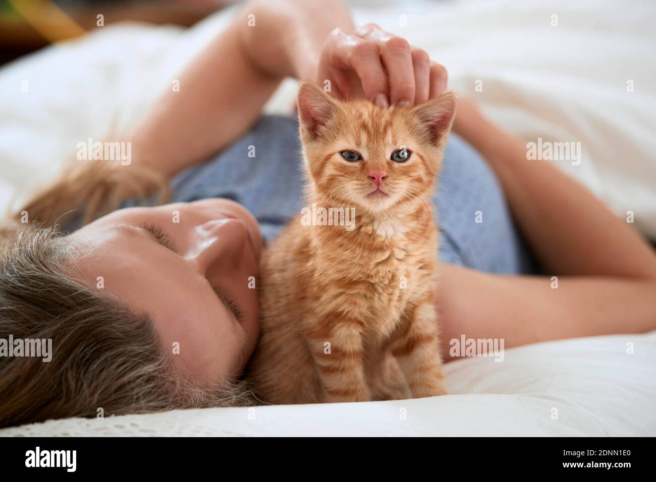 Cat in bed with woman hi-res stock photography and images - Alamy