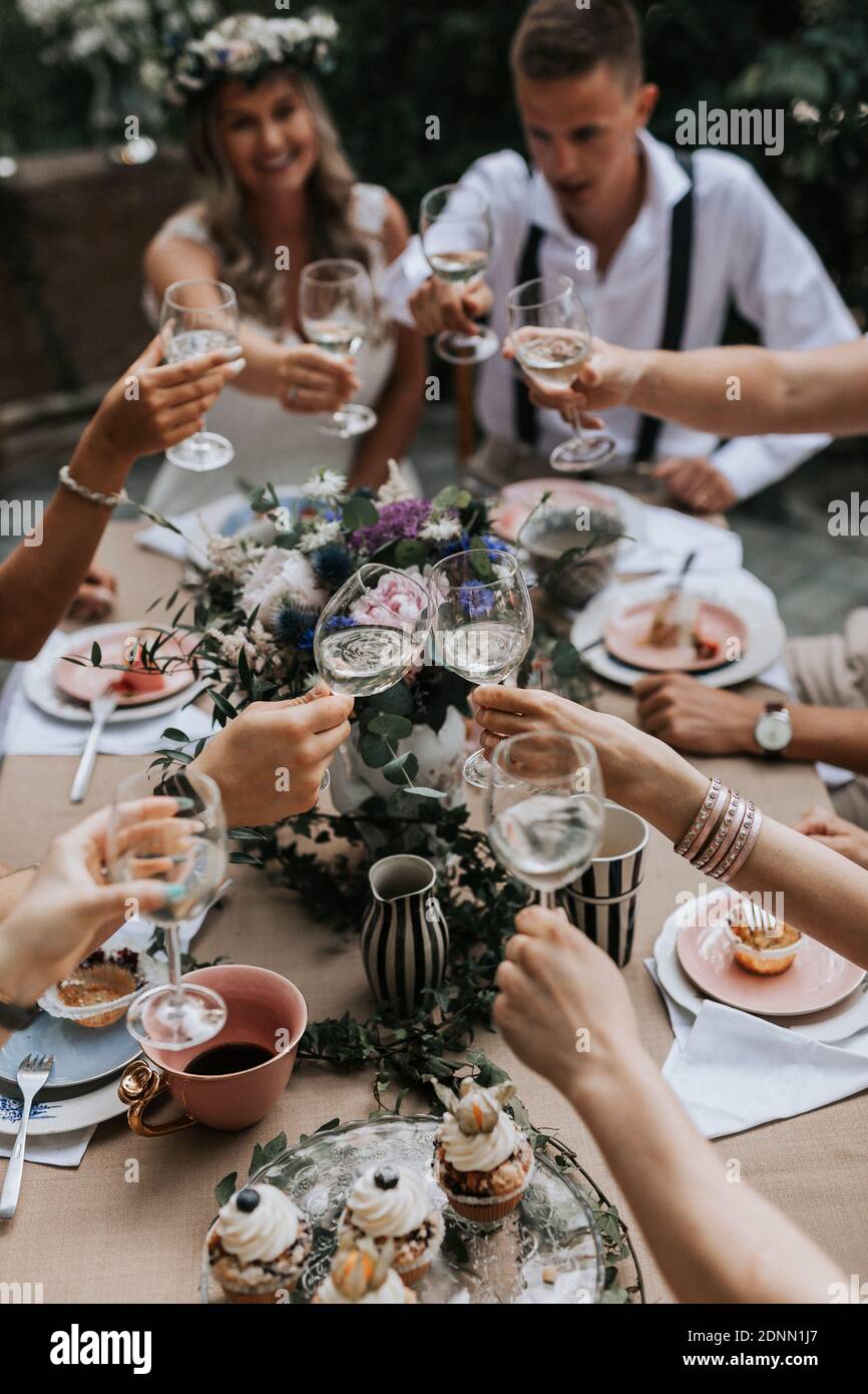 Friends having toast at wedding reception Stock Photo - Alamy
