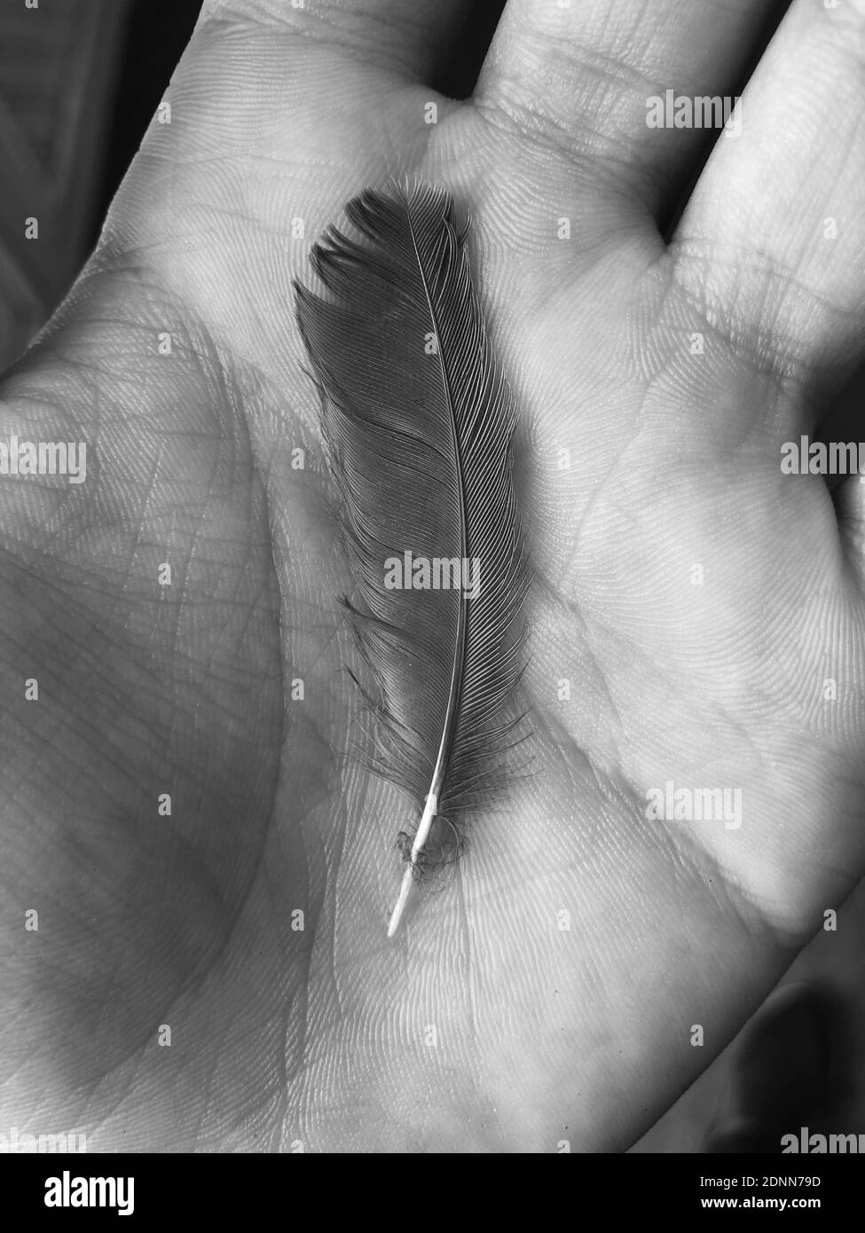 Hand plam hi-res stock photography and images - Alamy