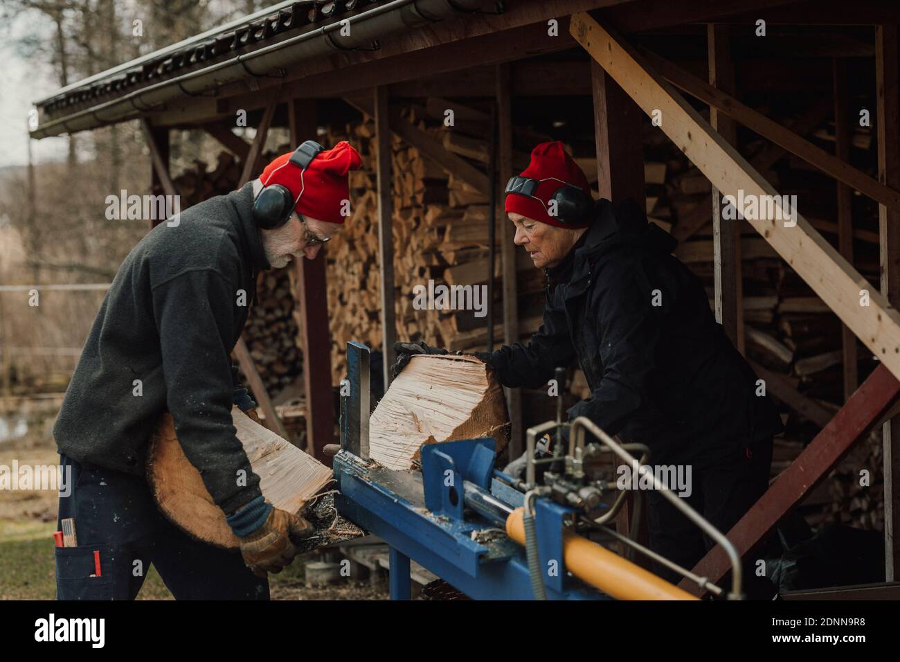 Senior couple using table saw Stock Photo - Alamy