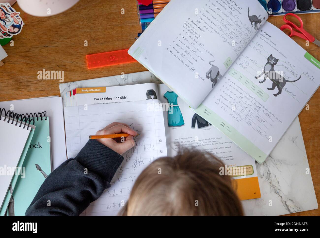 Girl doing homework Stock Photo - Alamy