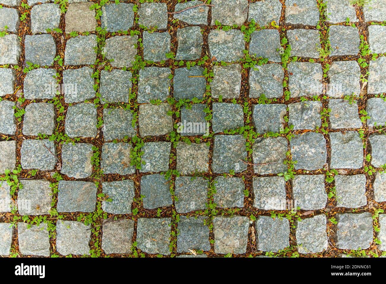 Mosaic tile pavers hi-res stock photography and images - Alamy