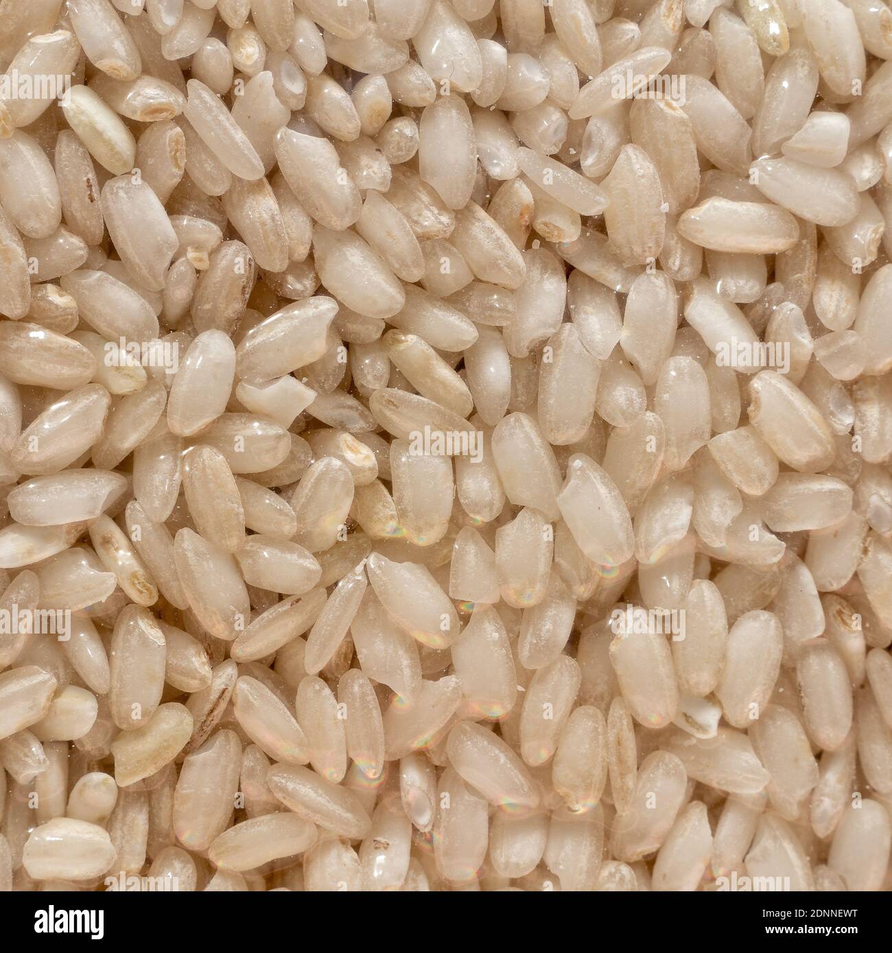 detail of rice grains. Ideal for backgrounds and texture Stock Photo ...