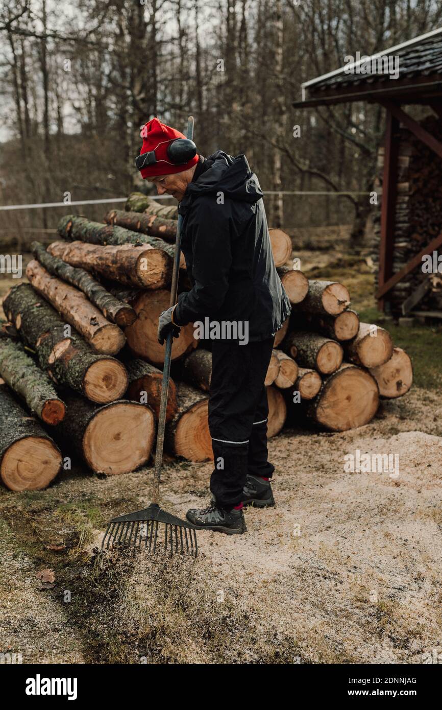 Man raking wood chips Stock Photo - Alamy