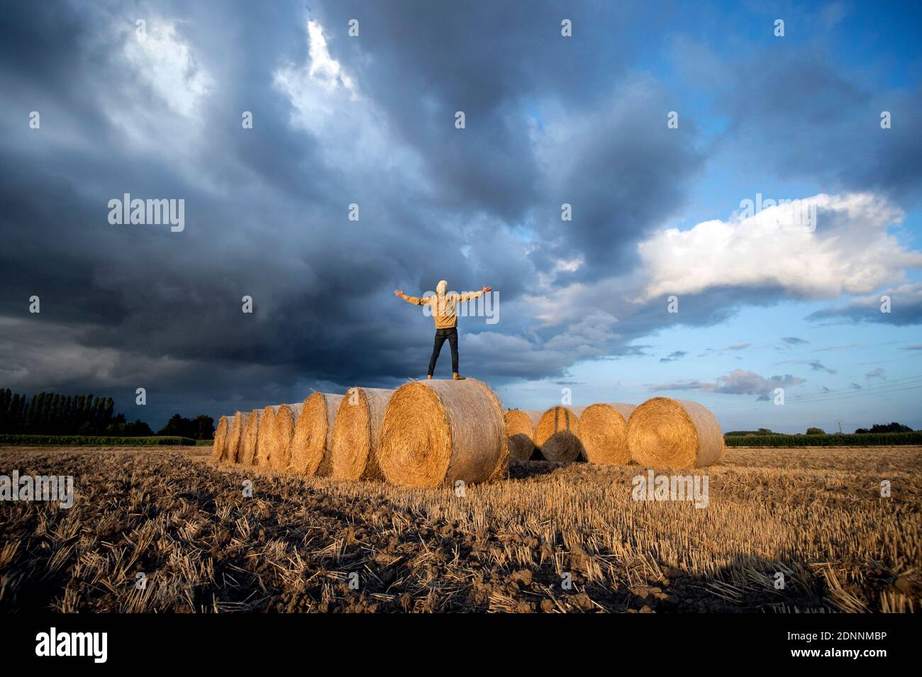 Man standing on straw balls in a field in Sameon (northern France) in ...