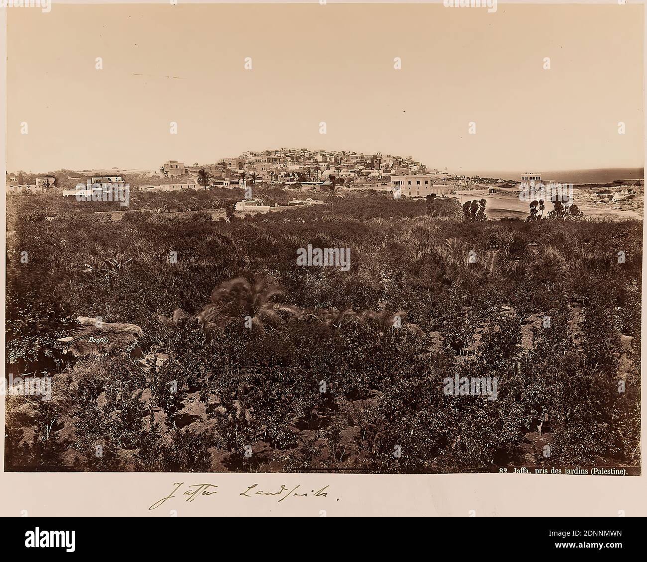 Jaffa country seat hi-res stock photography and images - Alamy