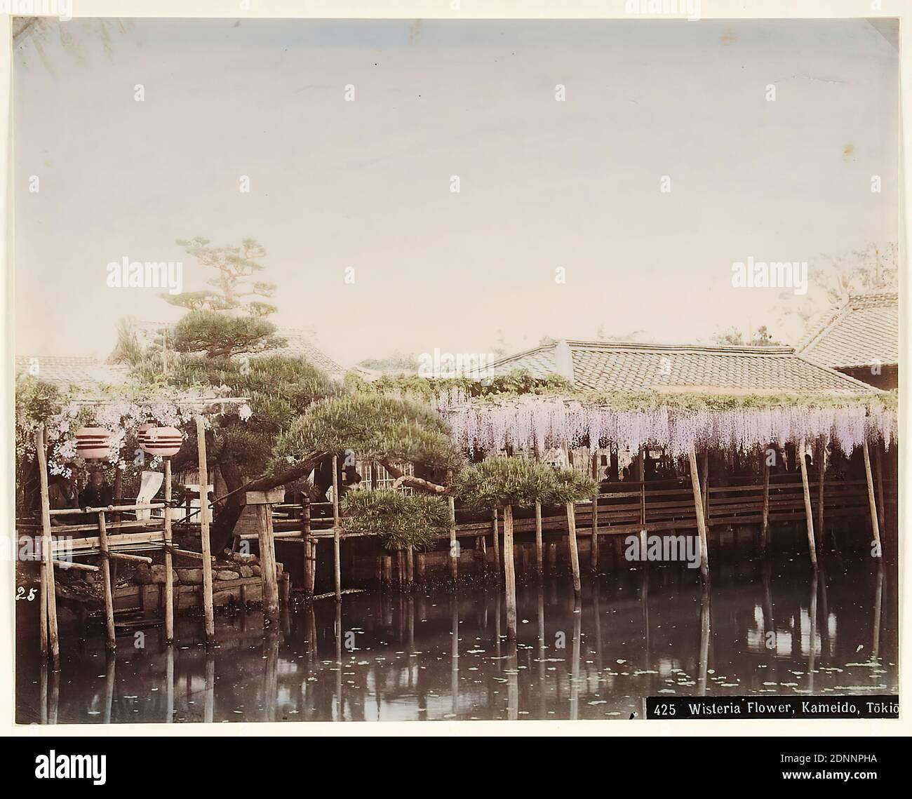 Kapa plate hi-res stock photography and images - Alamy