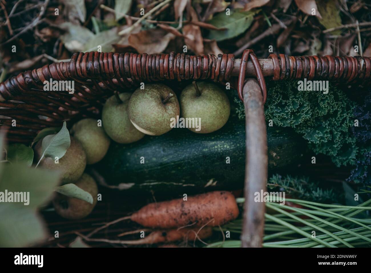 Vegetables and in basket Stock Photo - Alamy