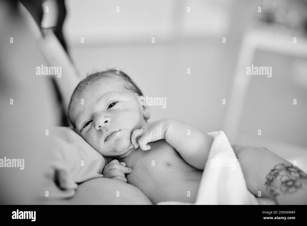 Mother holding newborn baby Stock Photo - Alamy