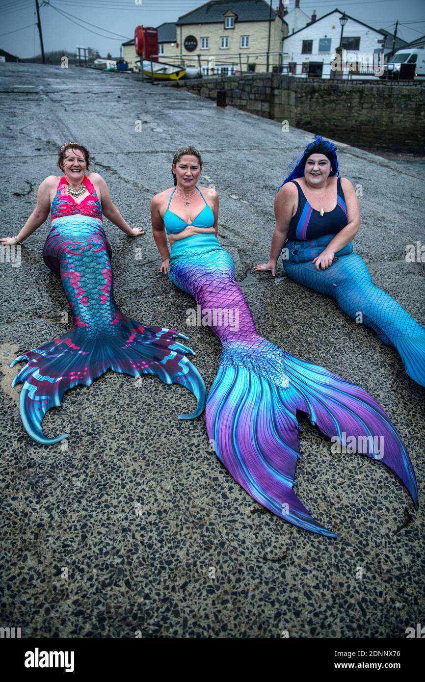 Pod of mermaids hi-res stock photography and images - Alamy