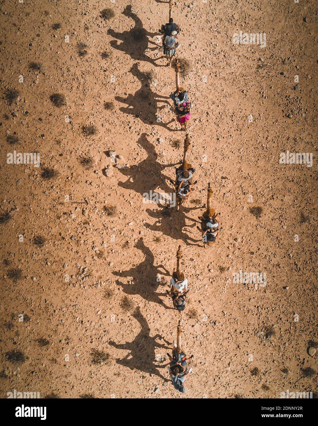 Camel shadow aerial hi-res stock photography and images - Alamy