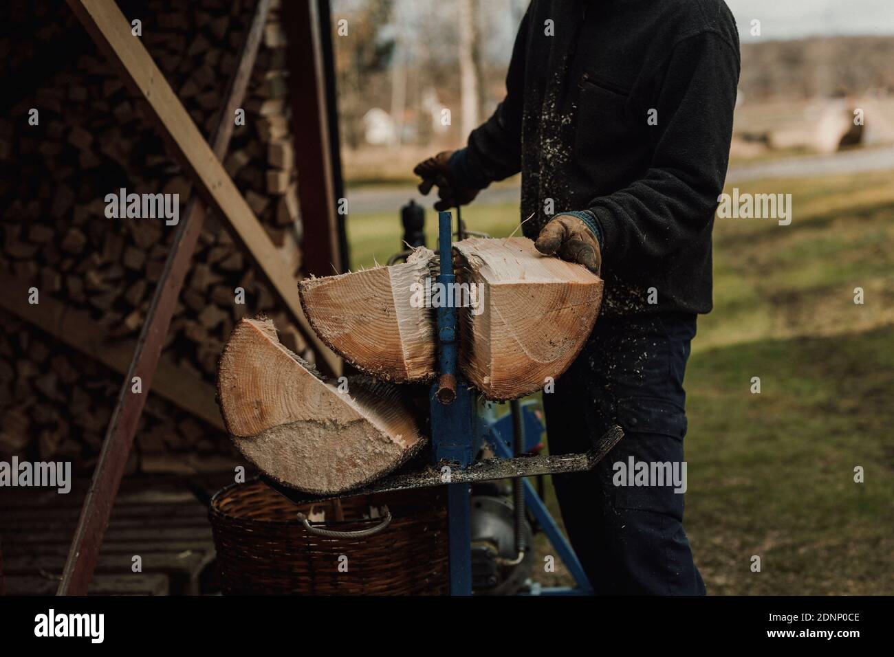 Man sawing log Stock Photo - Alamy