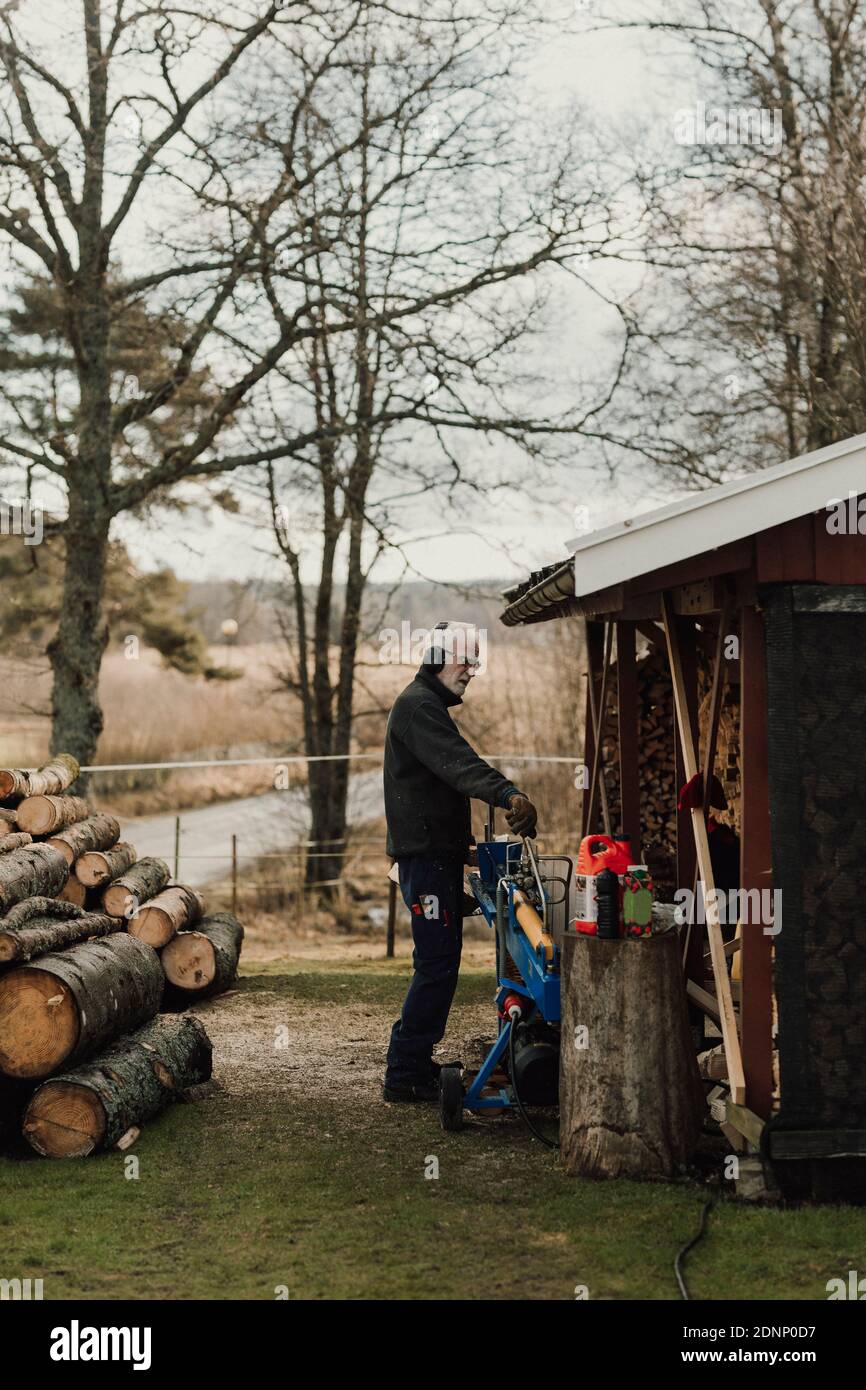 Senior couple using table saw Stock Photo - Alamy