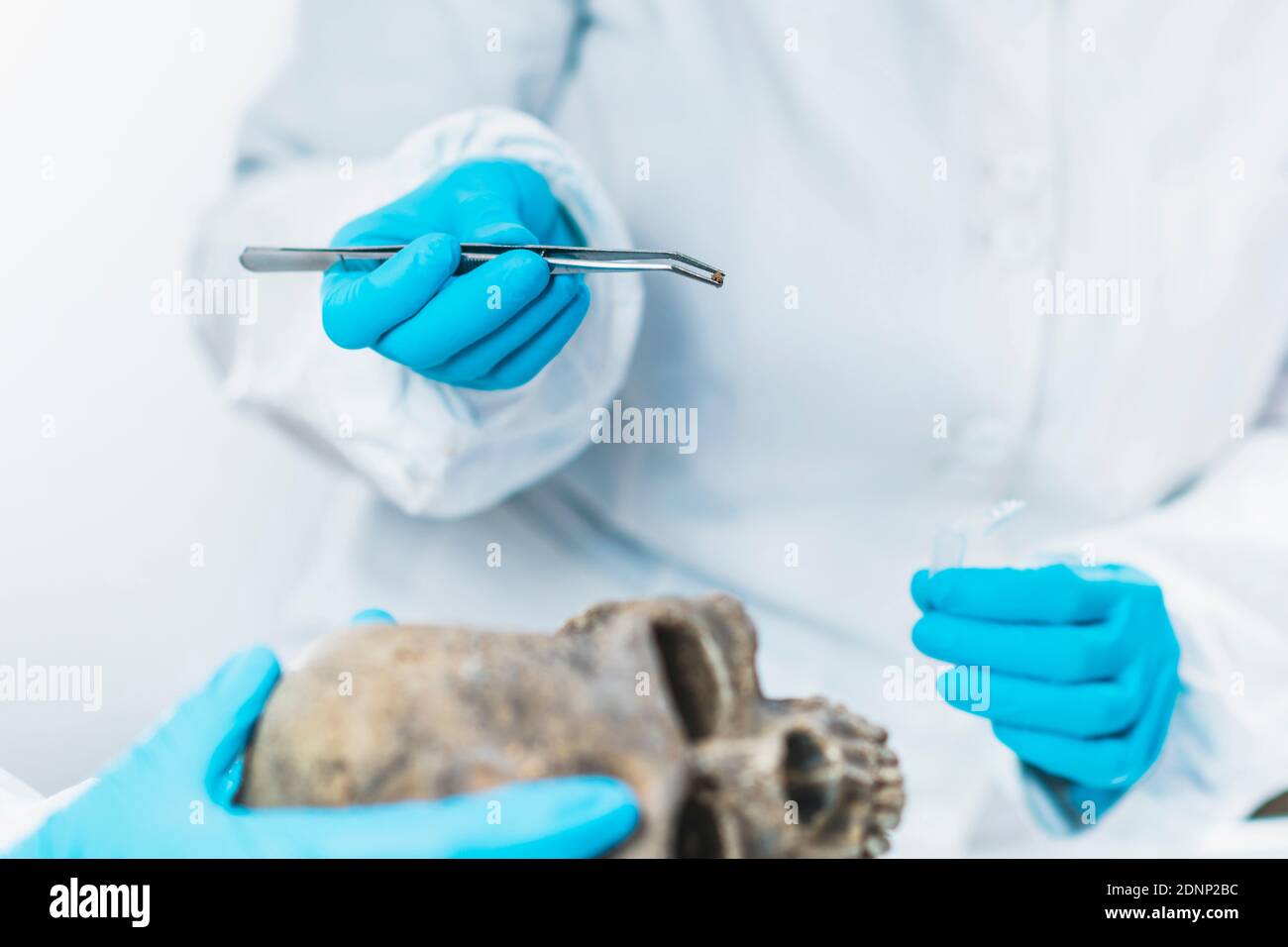 Skull in the doctors hand hi-res stock photography and images - Alamy