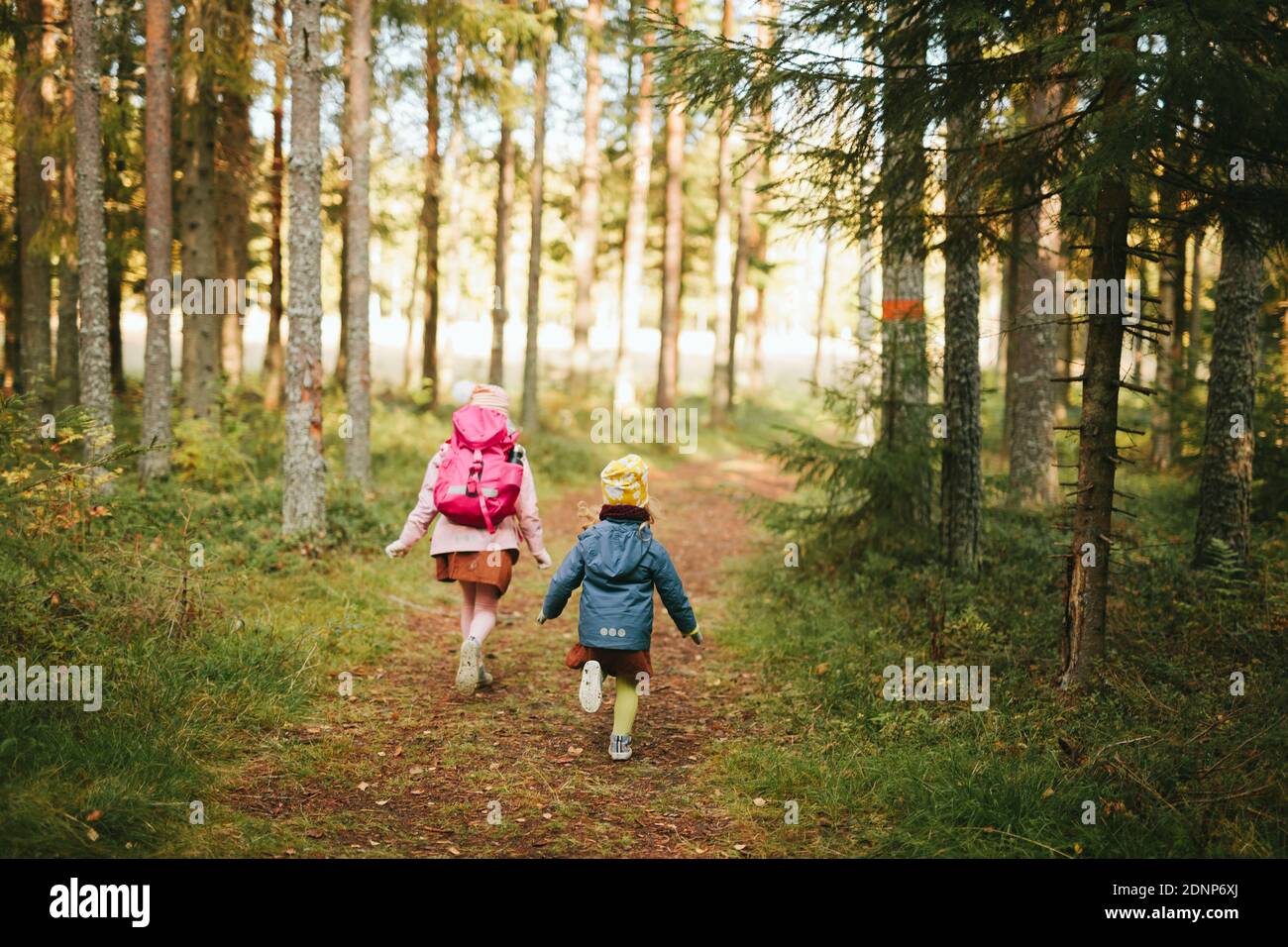Path through life hi-res stock photography and images - Alamy