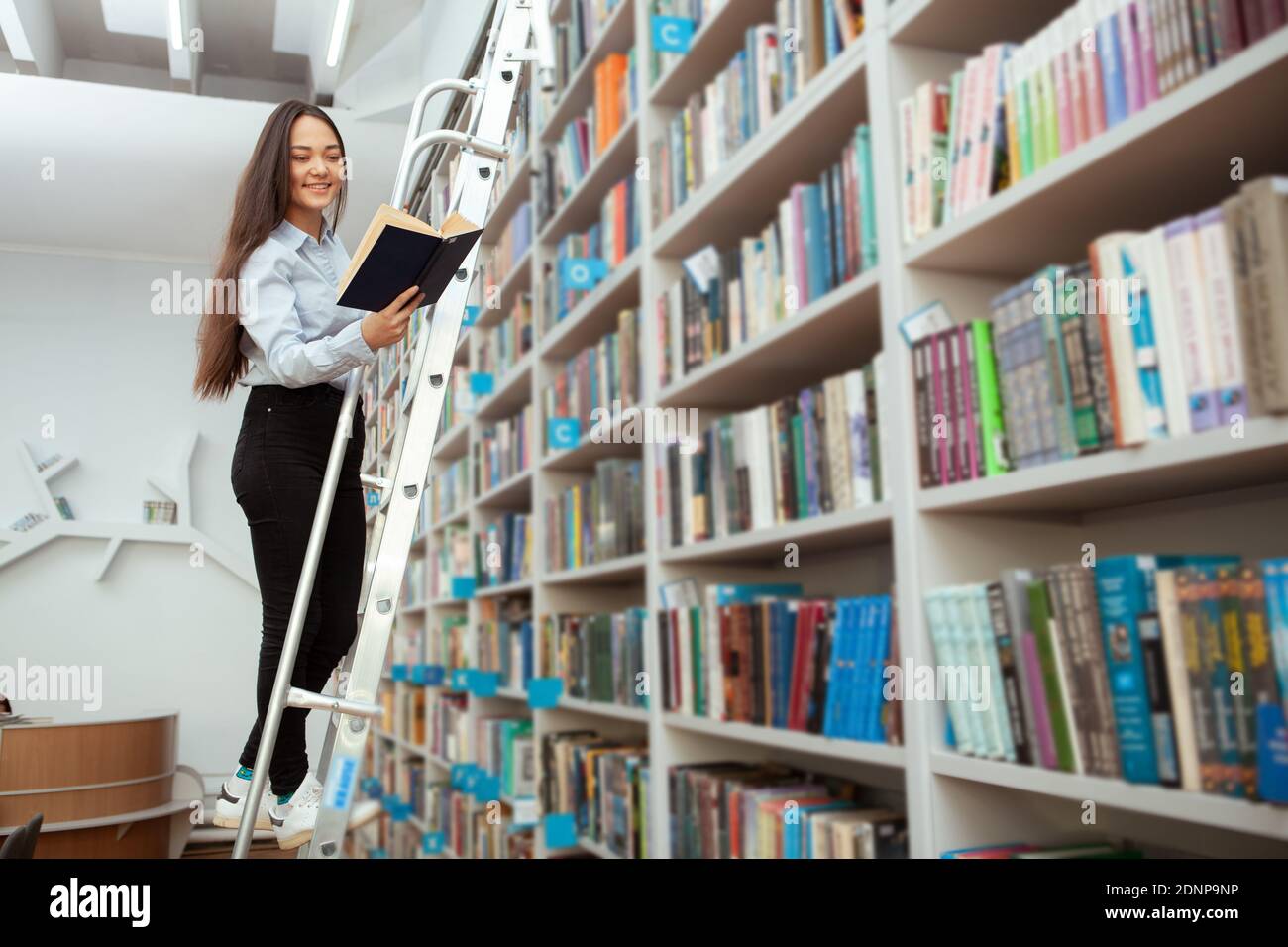 Ladder bookshelves hi-res stock photography and images - Alamy