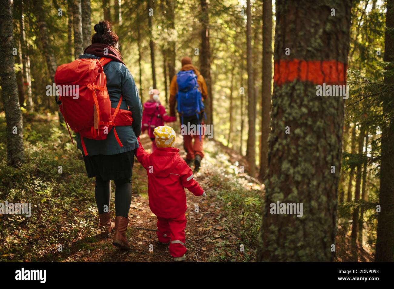 Two people walking in forest hi-res stock photography and images - Alamy