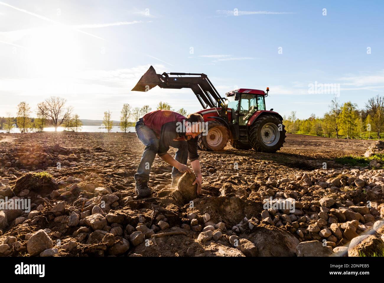 Man removing stones hi-res stock photography and images - Alamy