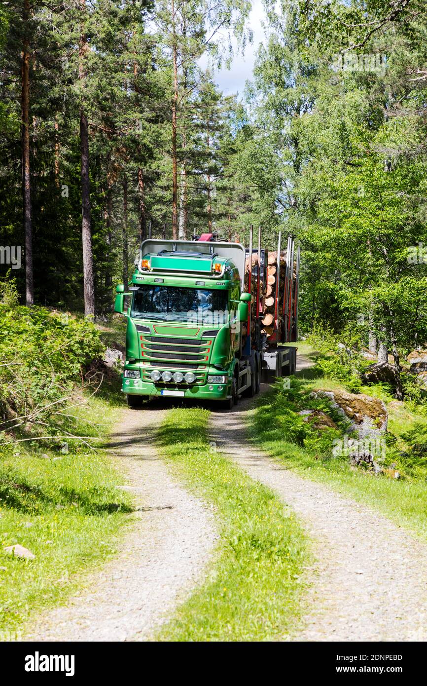 Road for forestry vehicles hi-res stock photography and images - Alamy