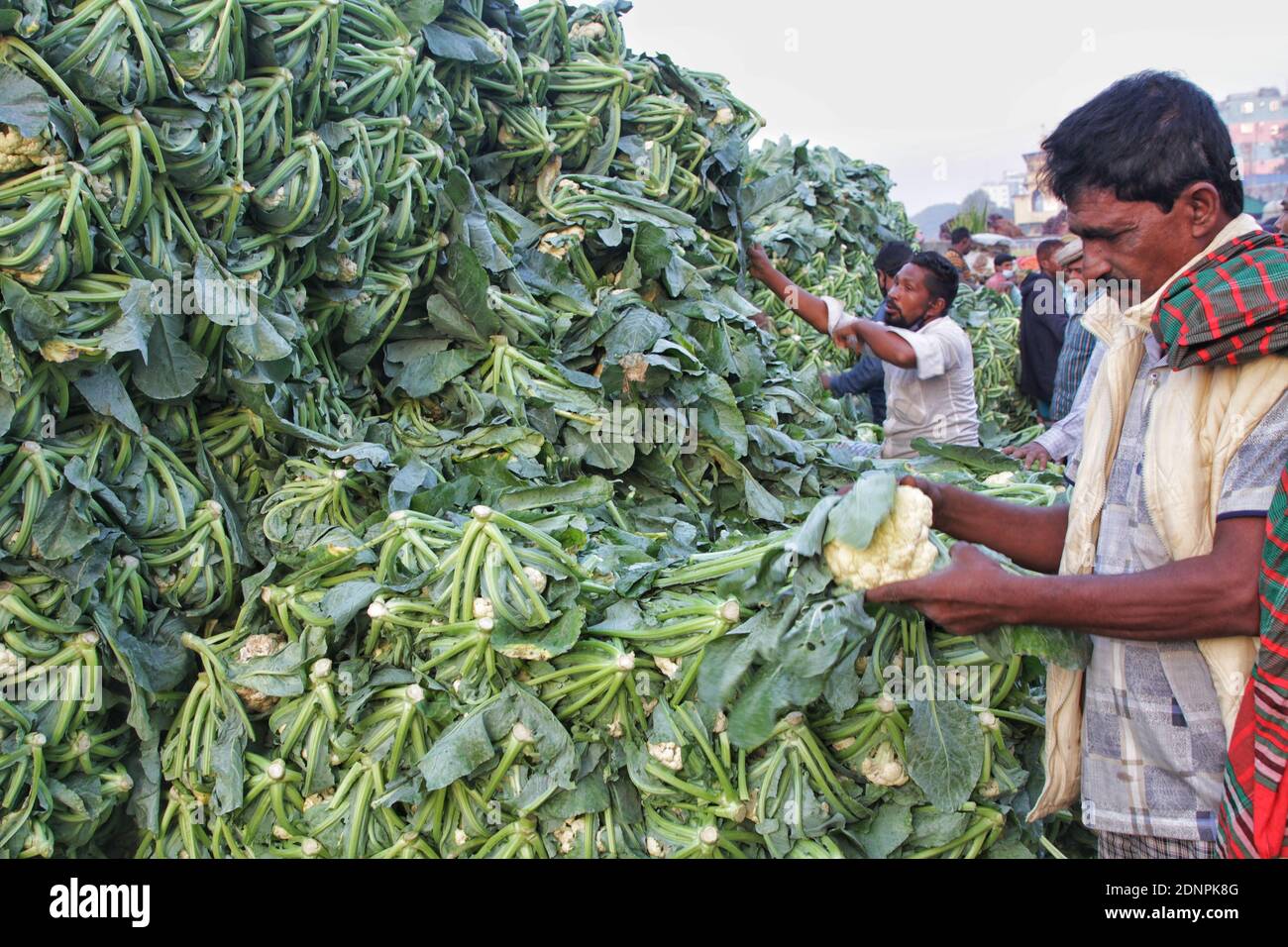 Chichinga at rs 40 per kg hi-res stock photography and images - Alamy